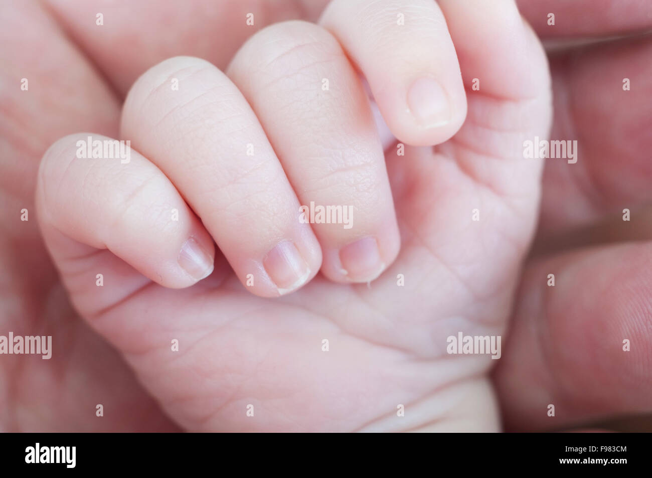 New born hand Stock Photo - Alamy