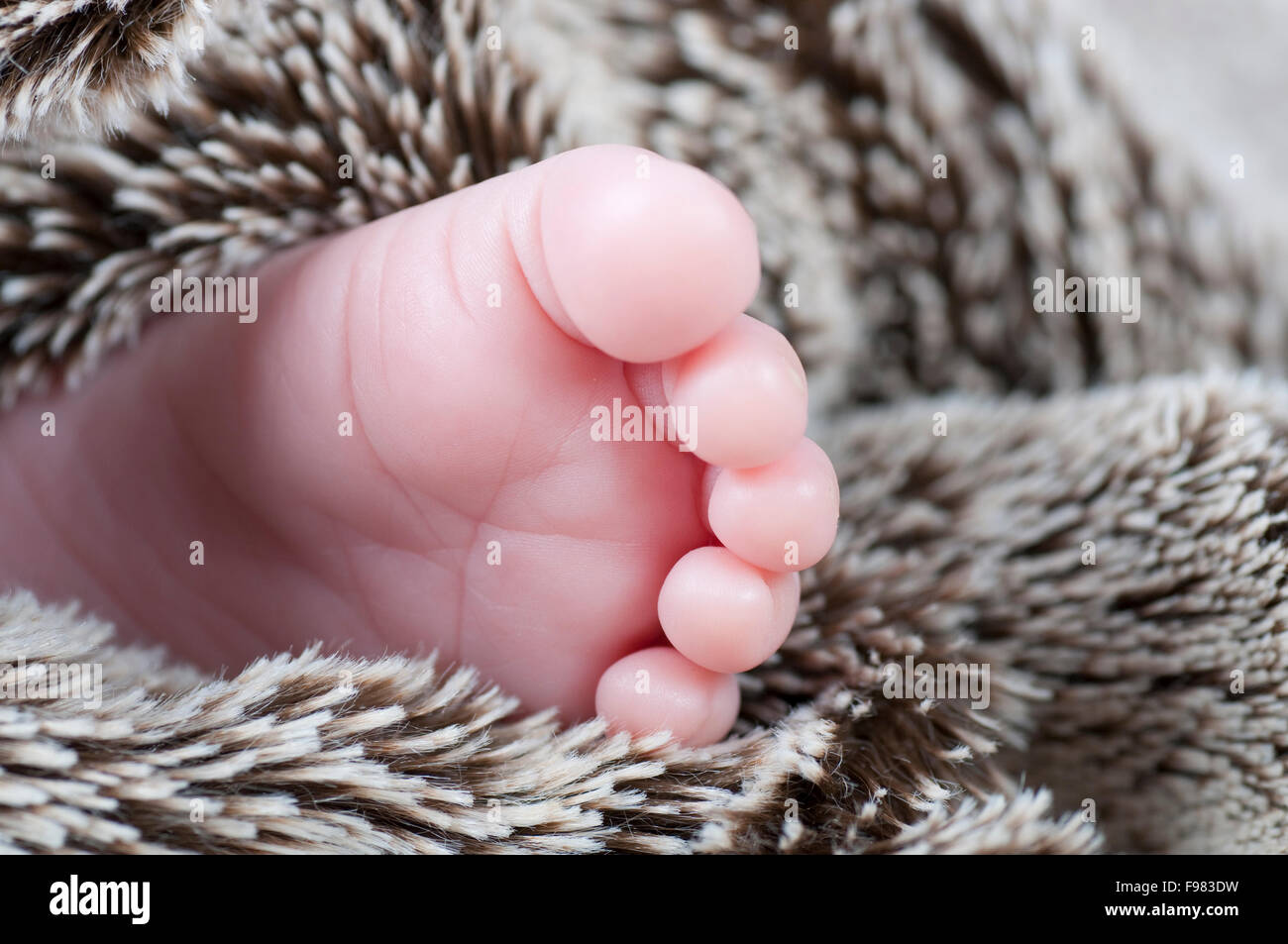 New born foot Stock Photo - Alamy