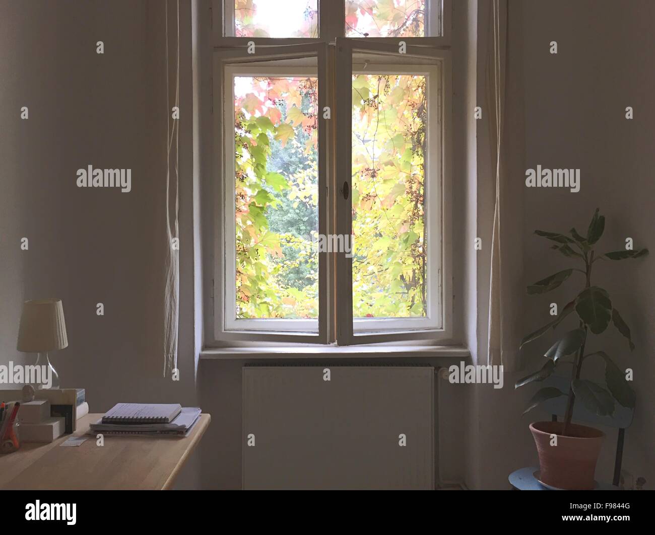 See through house hi-res stock photography and images - Alamy