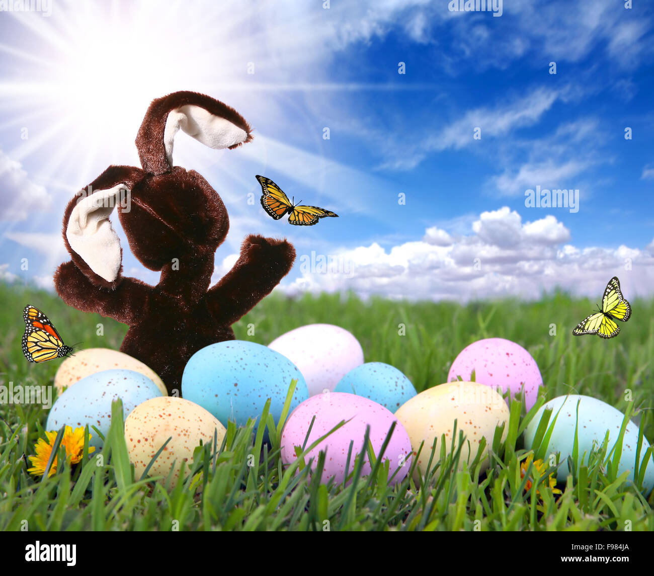 Field With Easter Bunny Rabbit Eggs and Butterflies Stock Photo - Alamy