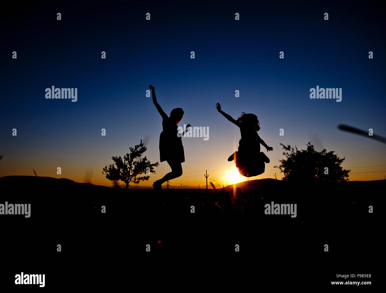 Silhouettes of happy girls having fun on the meadow Stock Photo - Alamy