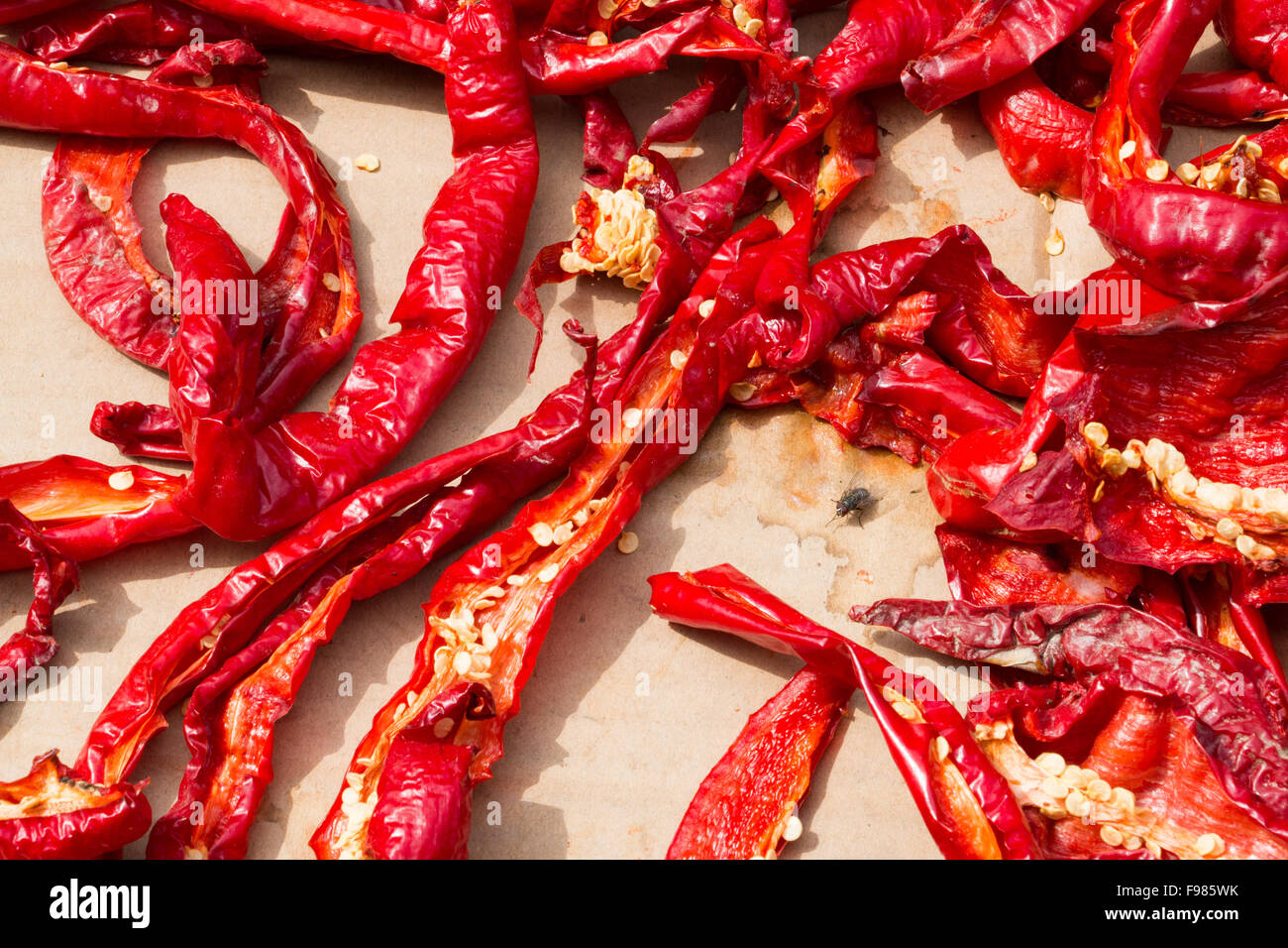 Black sun hi-res stock photography and images - Alamy