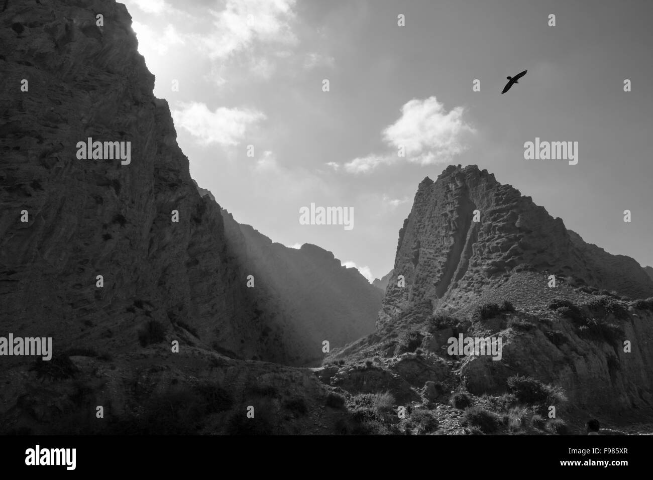 Bird flies over mountain landscape to escape the sunrise Stock Photo ...
