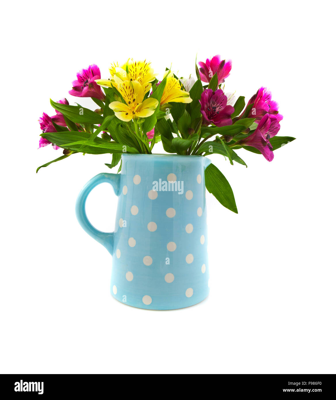 Mixed lily flowers in blue spotted jug isolated on white background ...