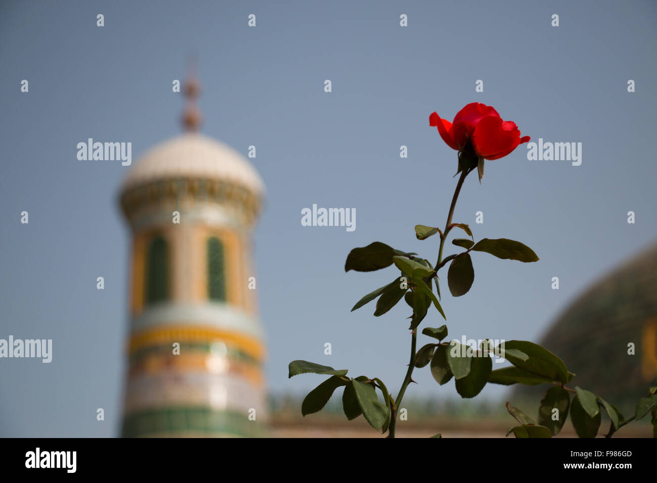 Red flower in front of blurry mosk tower in China Stock Photo - Alamy