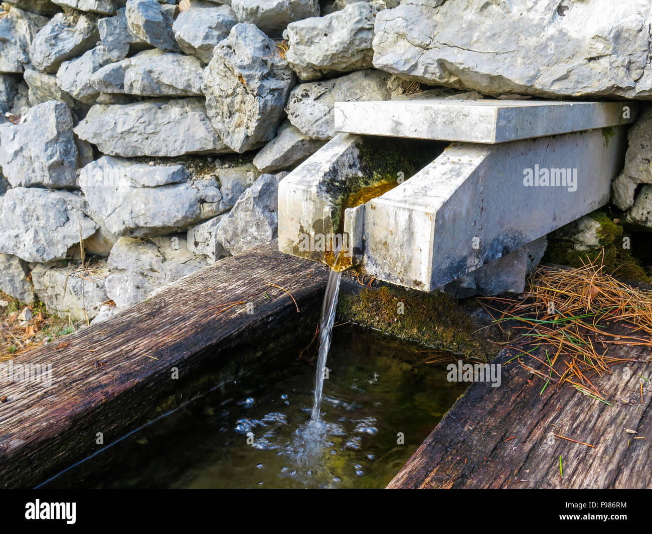 Spring with a watering place Stock Photo - Alamy