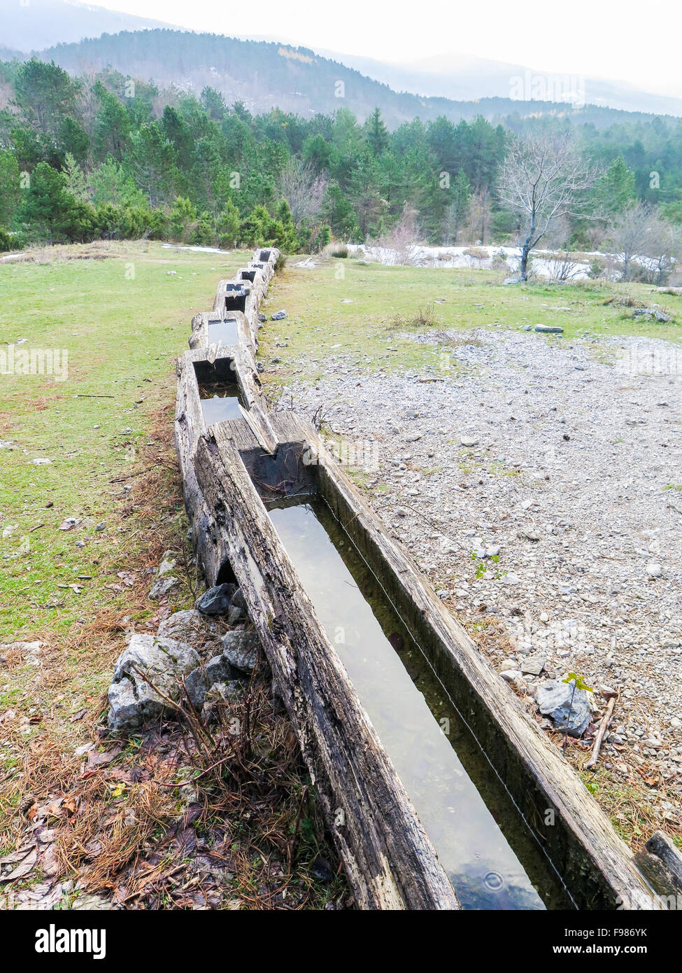 Watering place near the spring Stock Photo - Alamy