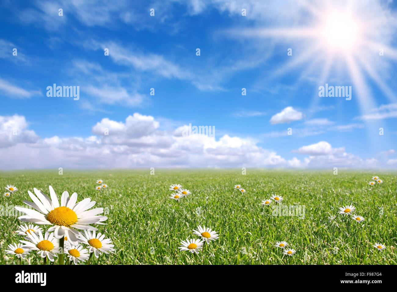 Happy Bright Spring Day Outside Stock Photo - Alamy