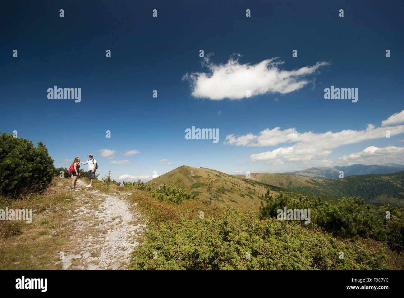 Hikers on the top of mountains are resting in the wild nature Stock ...