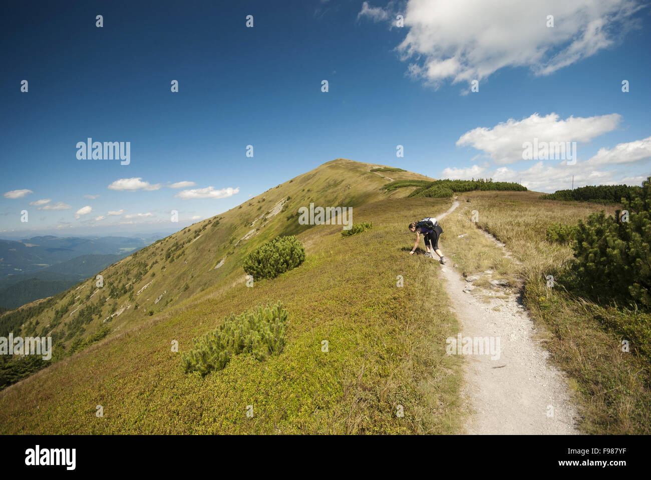Hikers on the top of mountains are resting in the wild nature Stock ...