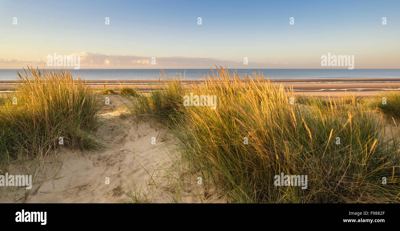 Stunning sunrise over sand dunes system on yellow sand golden beach ...