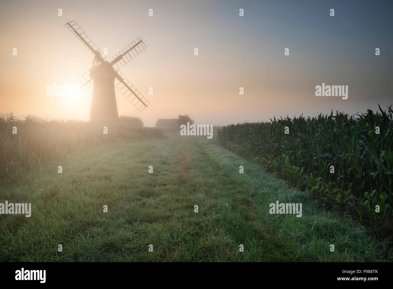 Landscape summer windmill hi-res stock photography and images - Alamy