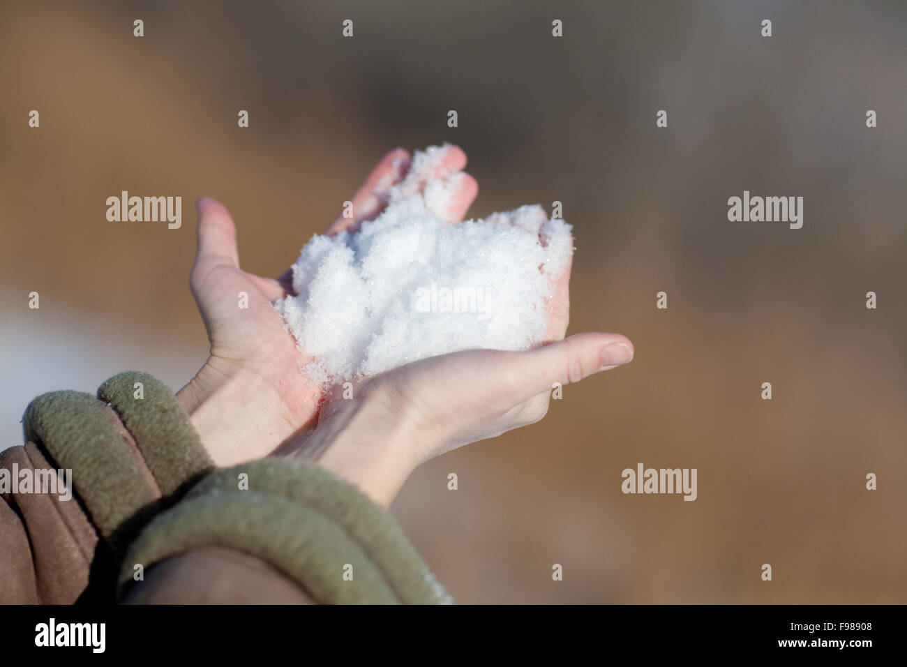 snow in hands Stock Photo - Alamy