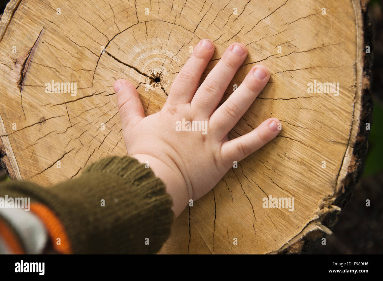 children's hand on stub Stock Photo - Alamy