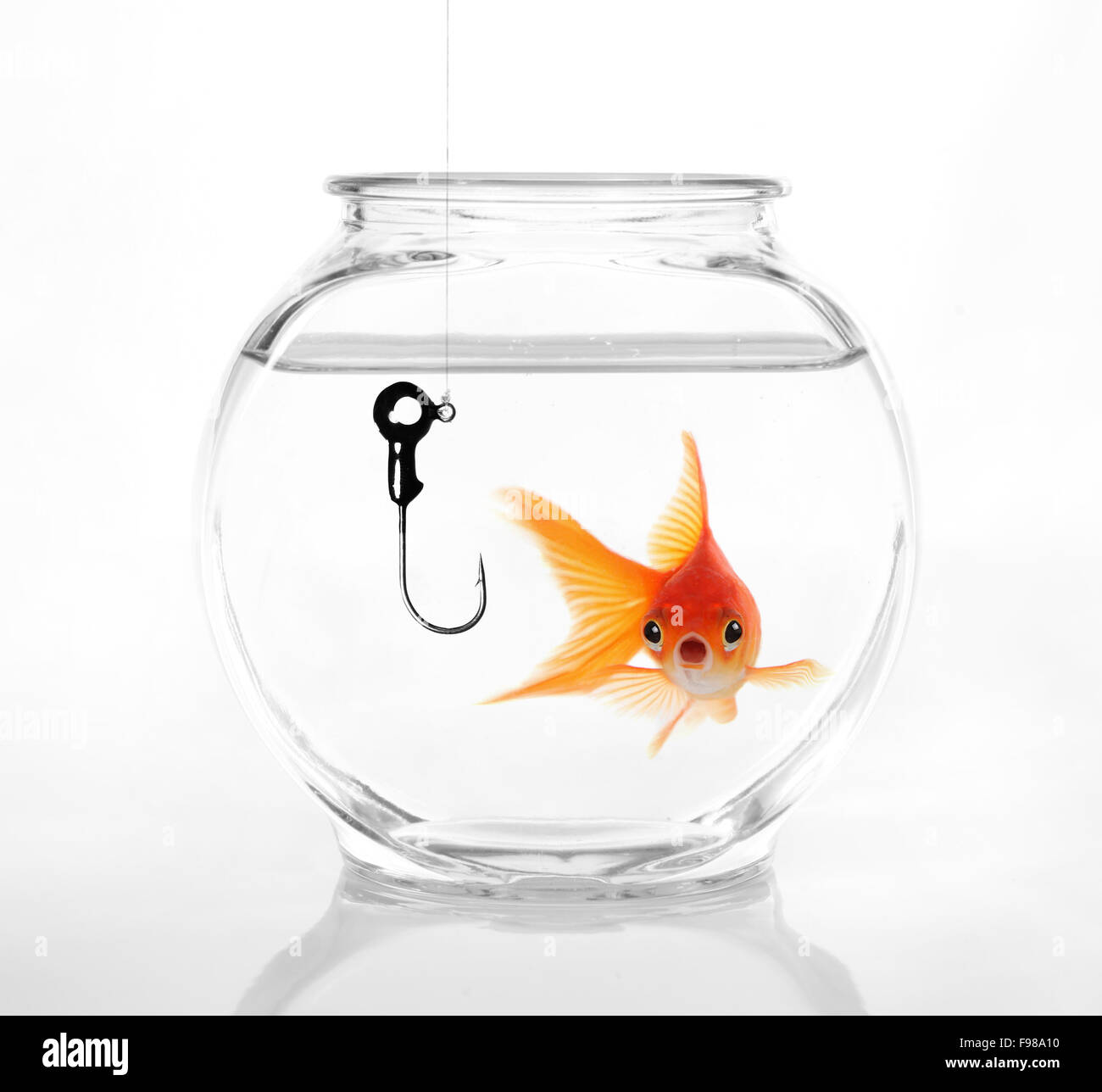 Do Not Take The Bait Stock Photo - Alamy