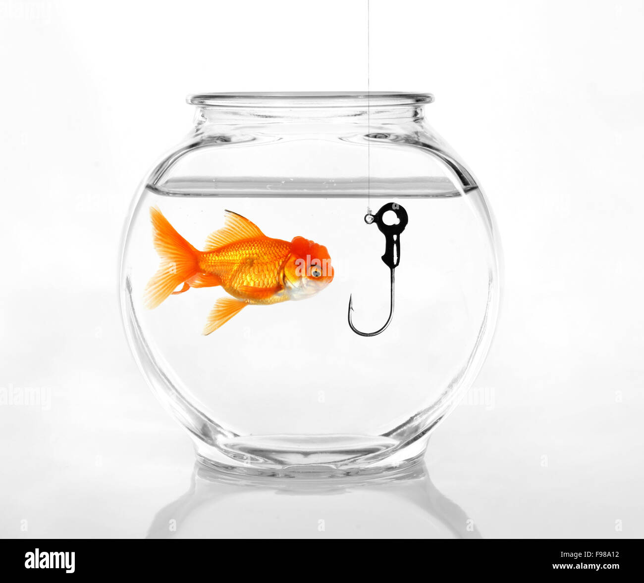 Goldfish trick hi-res stock photography and images - Alamy