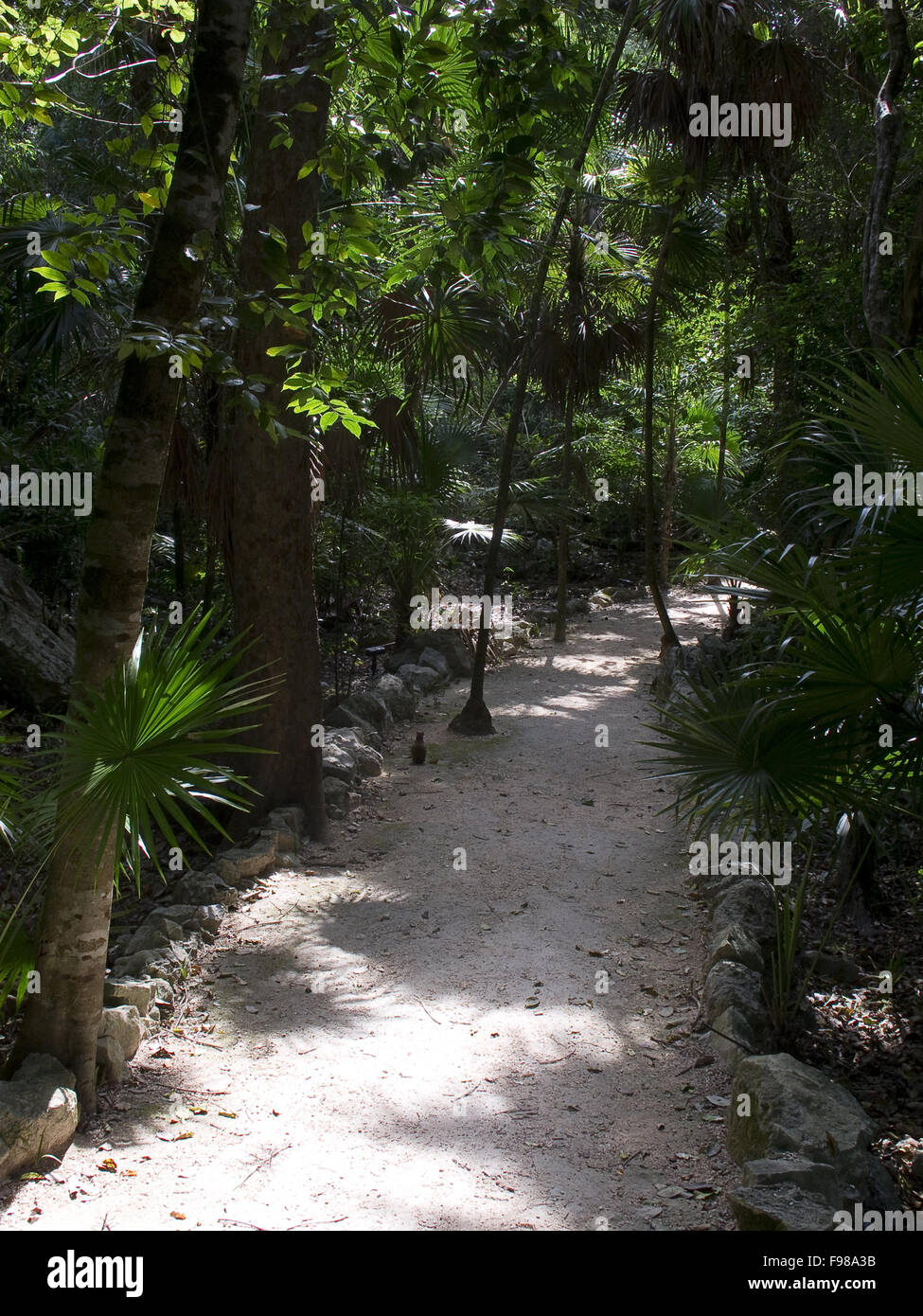 Jungle land hi-res stock photography and images - Alamy
