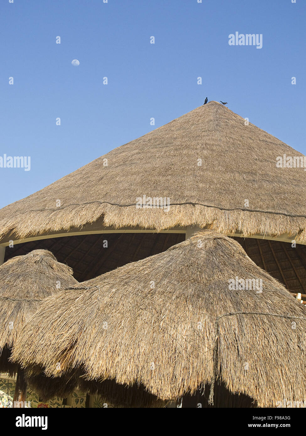 Mexican straw roof Stock Photo - Alamy
