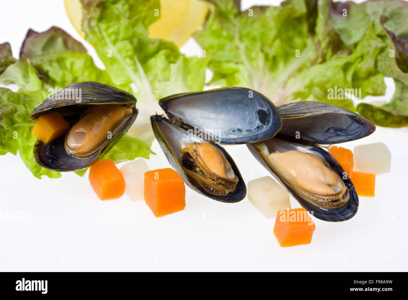 cooked open blue mussels on white background Stock Photo - Alamy
