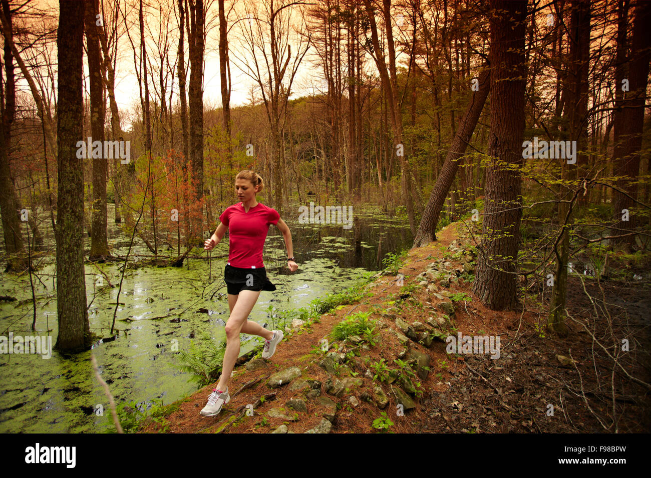 A female athlete trail running Stock Photo - Alamy