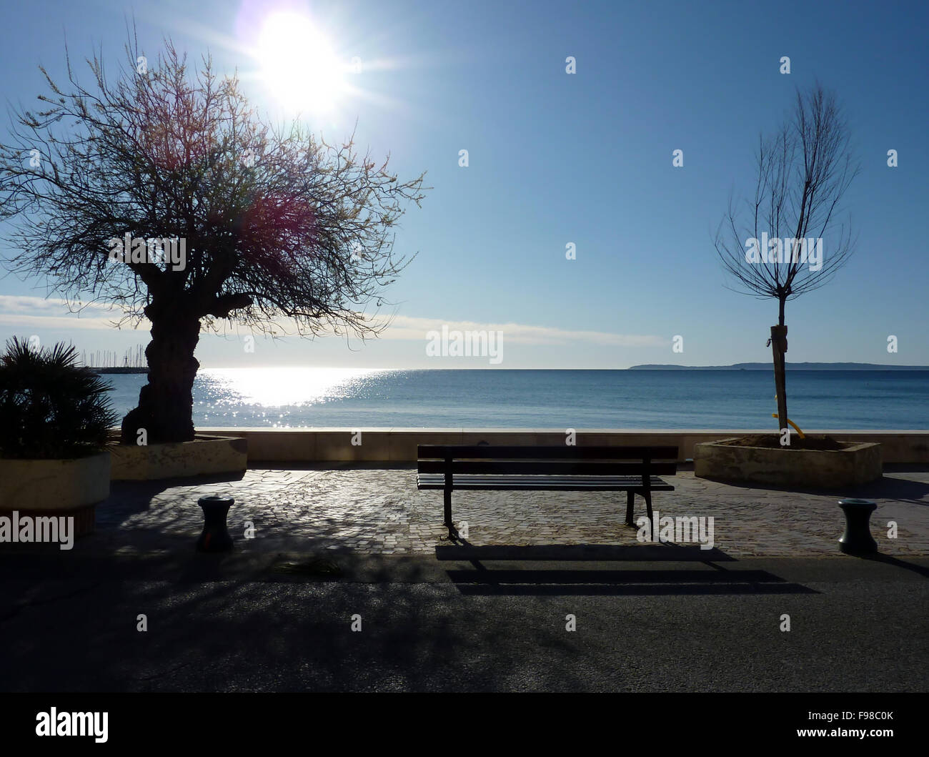 Bench at seaside Stock Photo - Alamy