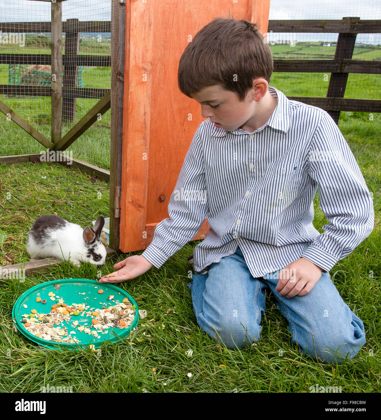 Young boy with pet rabbit, Ireland Stock Photo - Alamy