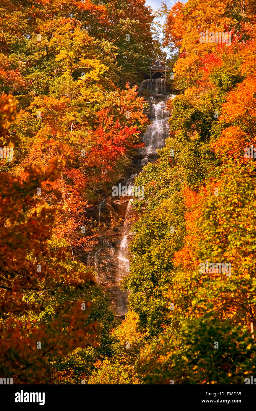 Amicalola falls cascades over a cliff in the fall at Amicalola Falls ...