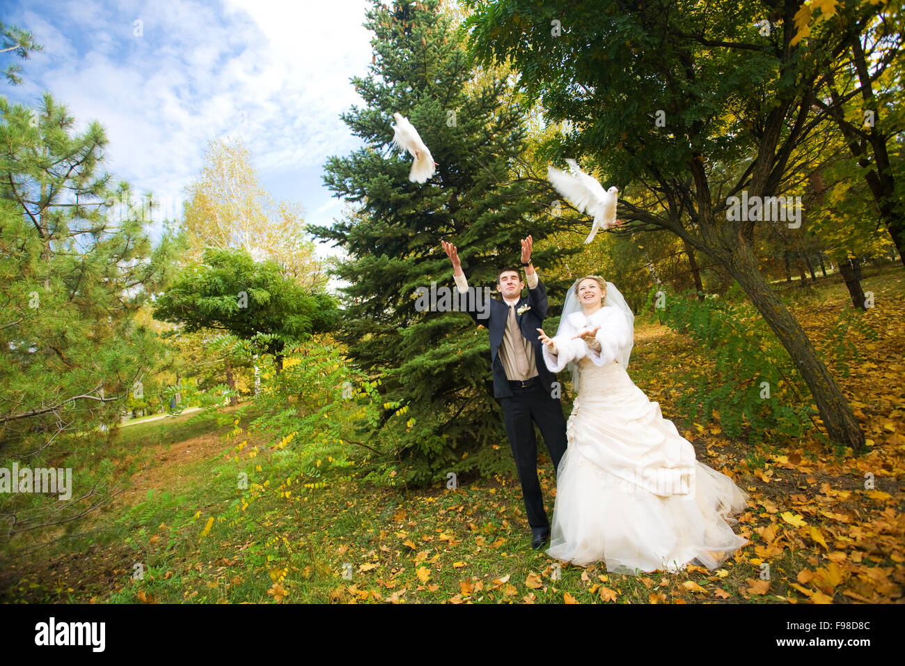 Two white pigeons flying hi-res stock photography and images - Alamy