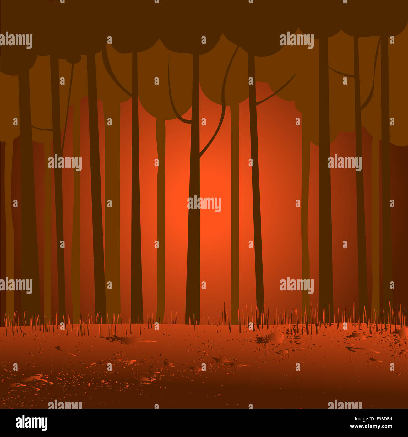 Marsh ghost hi-res stock photography and images - Alamy