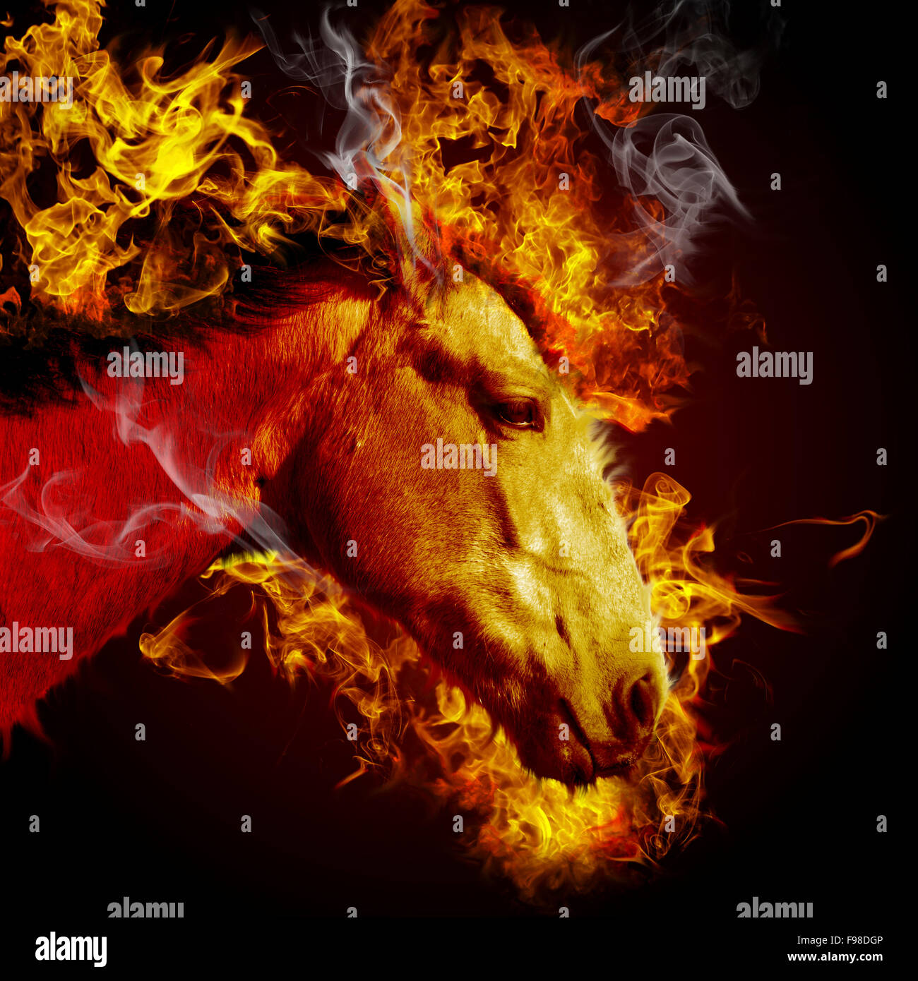 Hot horse, burning animal, fire Stock Photo - Alamy
