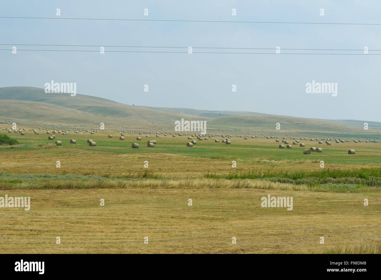landscape with a traditional hay field full of wild flowers and grasses ...