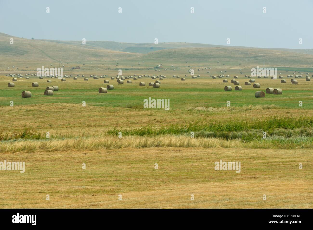 landscape with a traditional hay field full of wild flowers and grasses ...