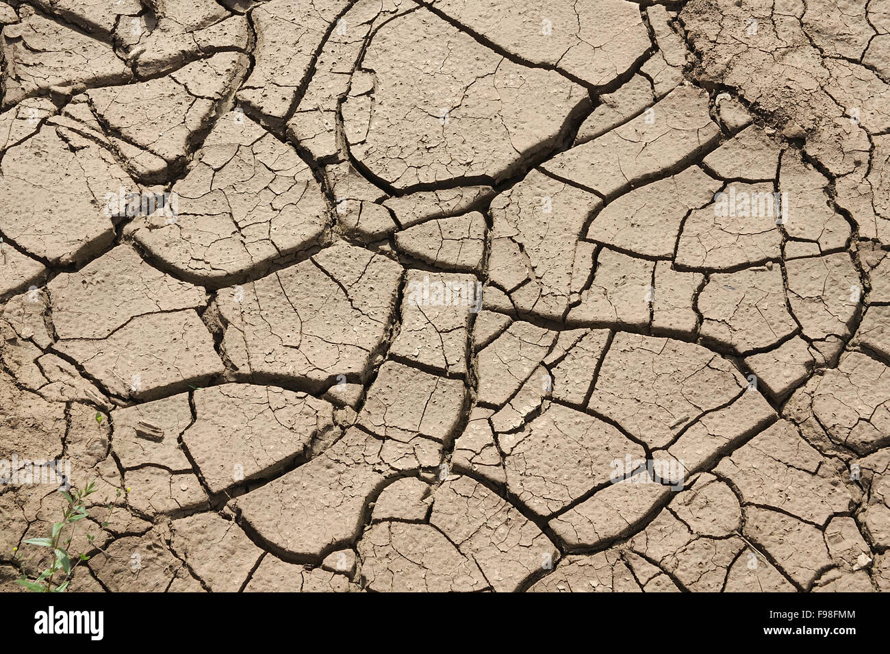 Open cracks hi-res stock photography and images - Alamy