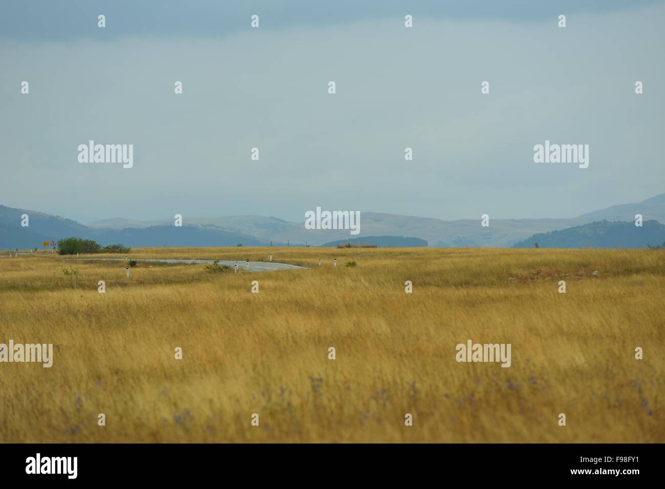 landscape with a traditional hay field full of wild flowers and grasses ...