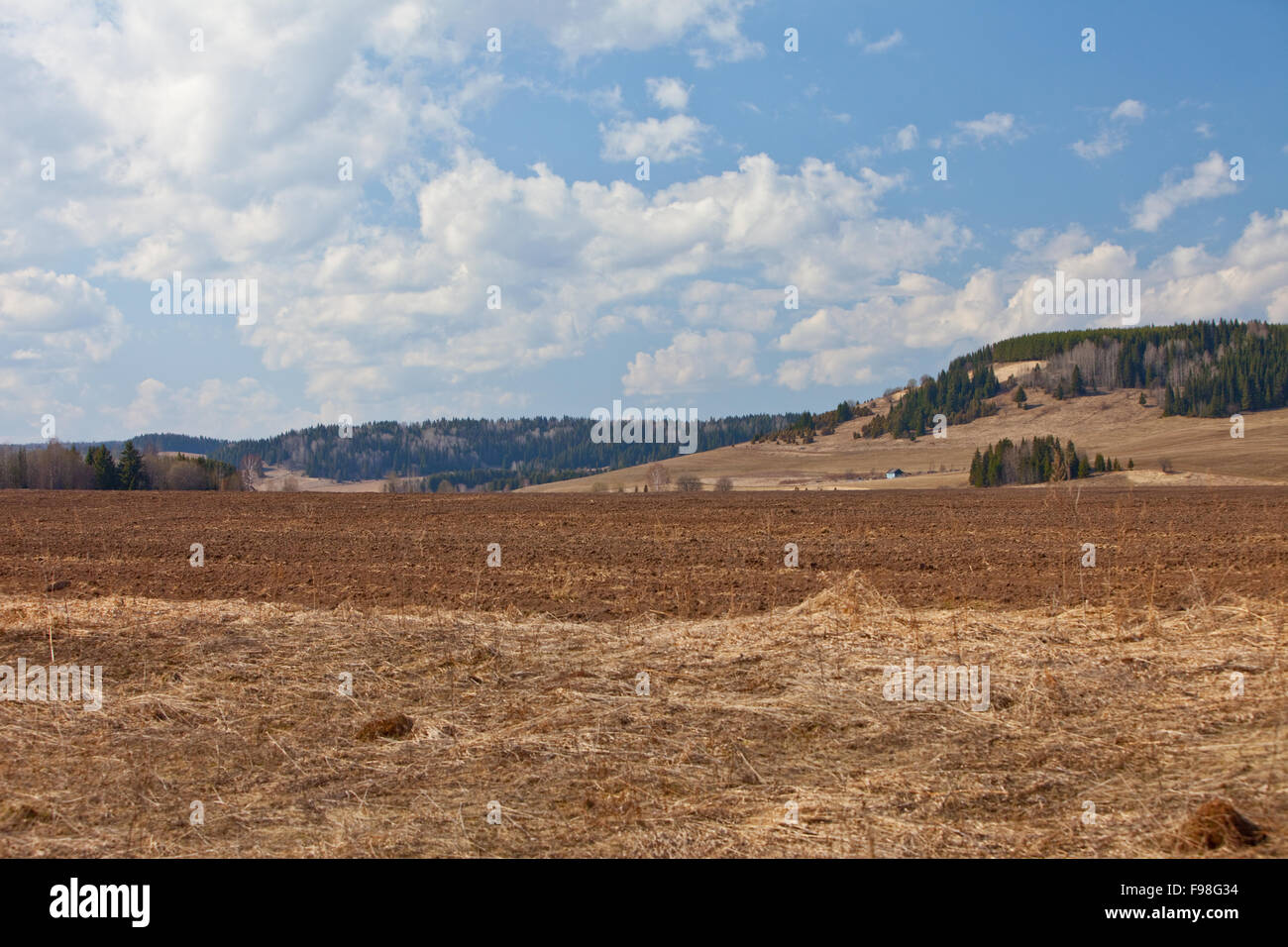 Spring agricultural landscape Stock Photo - Alamy