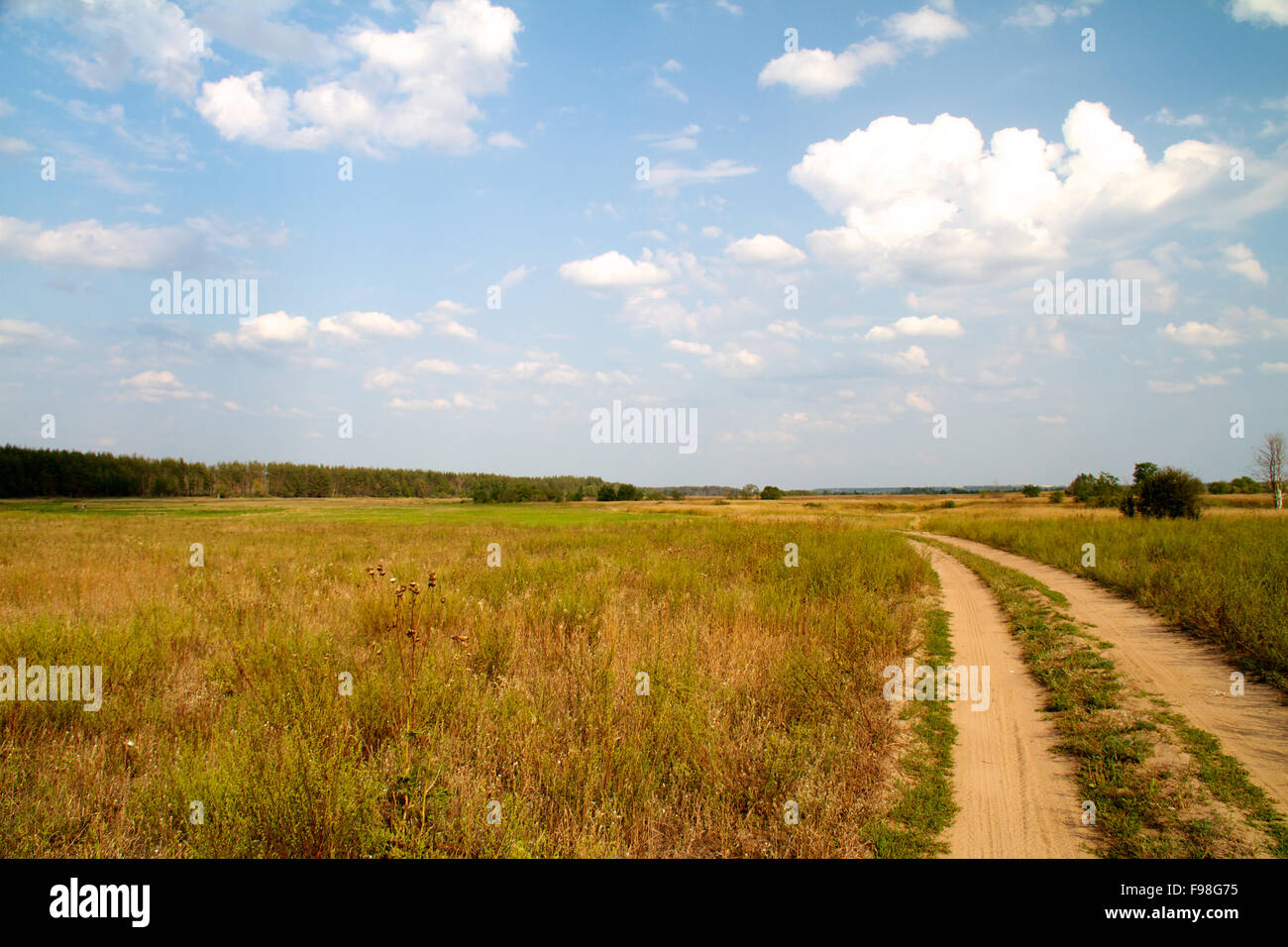 grass valley in forest during summer Stock Photo - Alamy