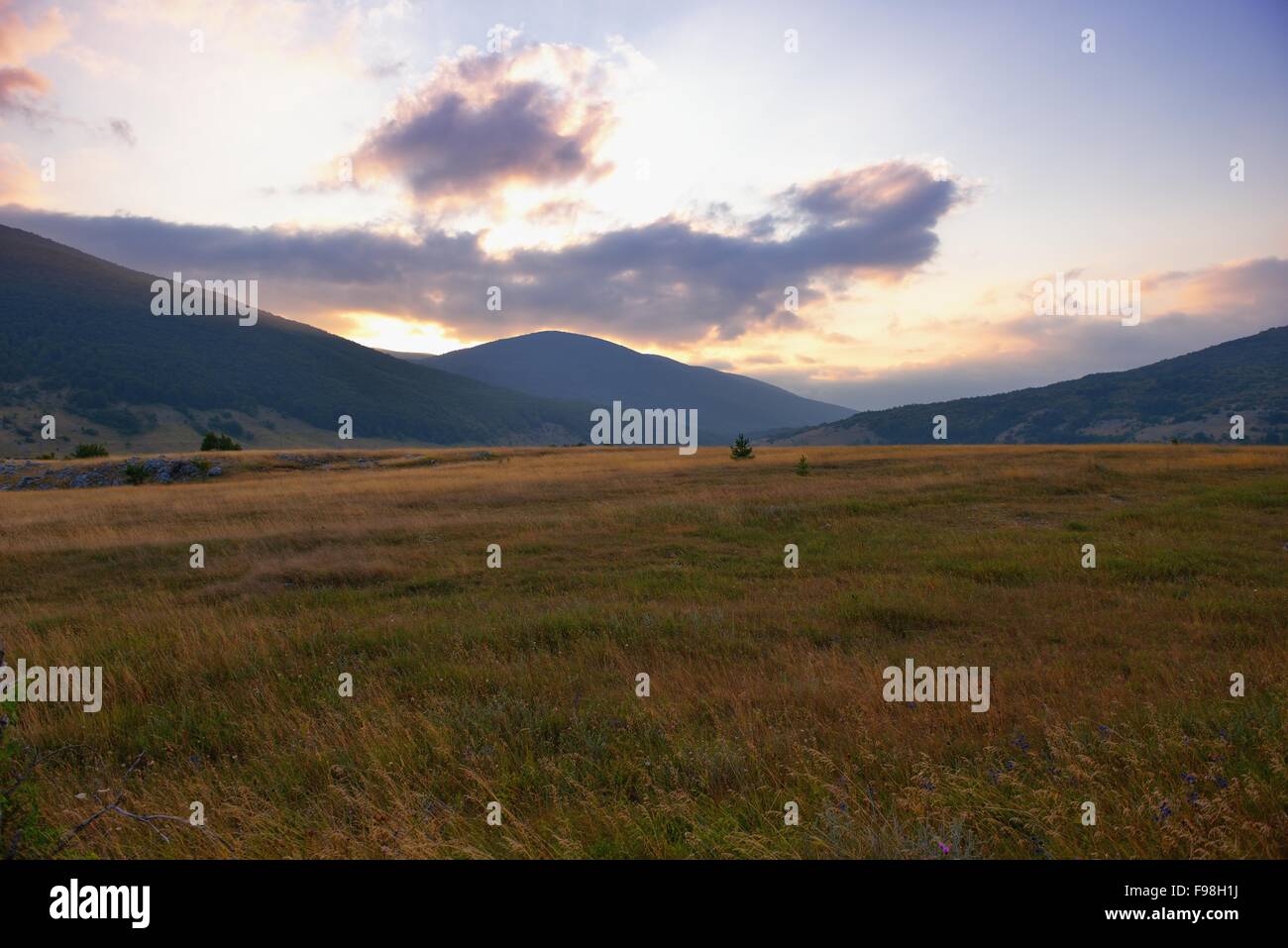 landscape with a traditional hay field full of wild flowers and grasses ...