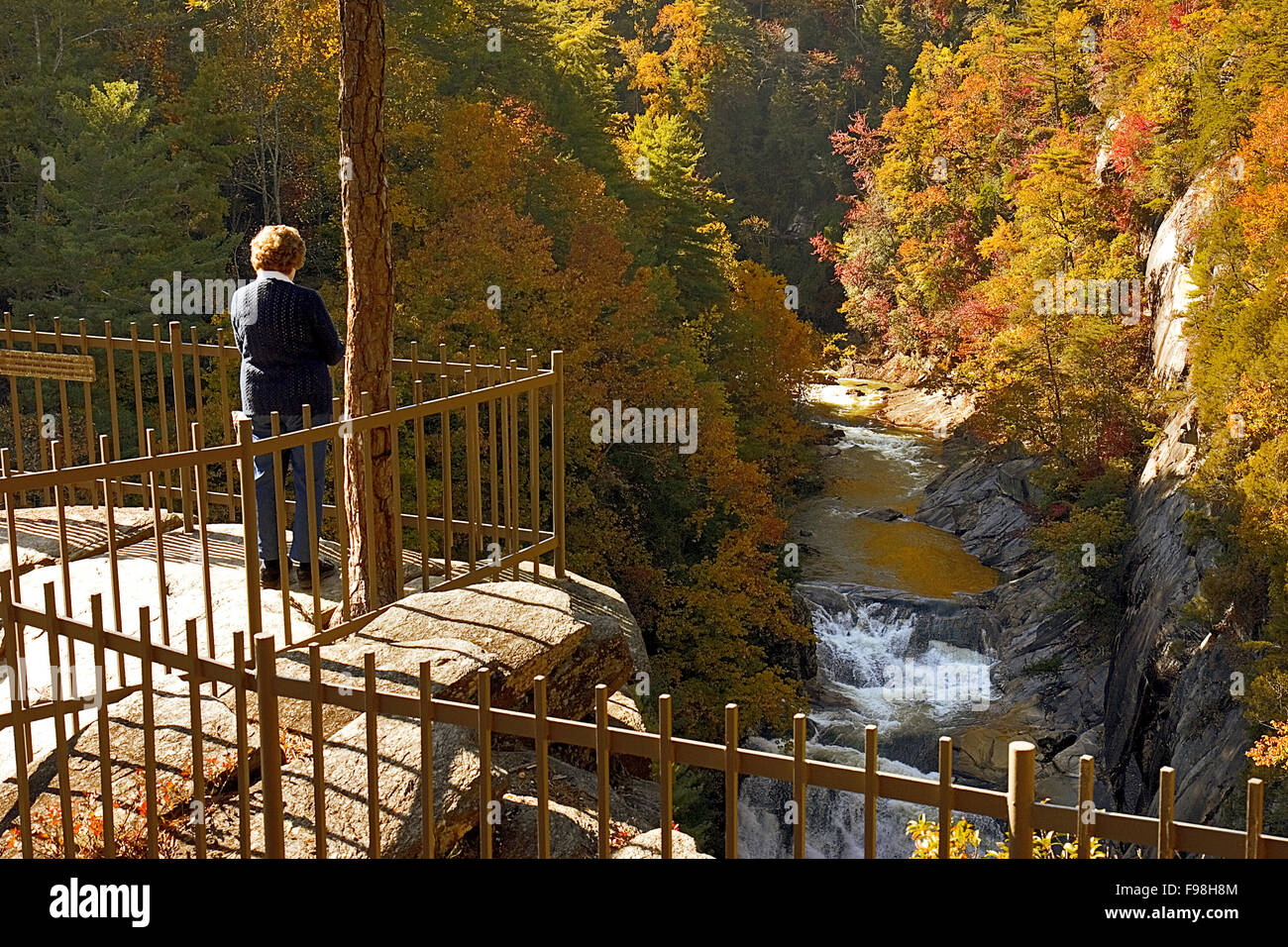 A visitor stands at an overlook at Tallulah Gorge State Park in North ...