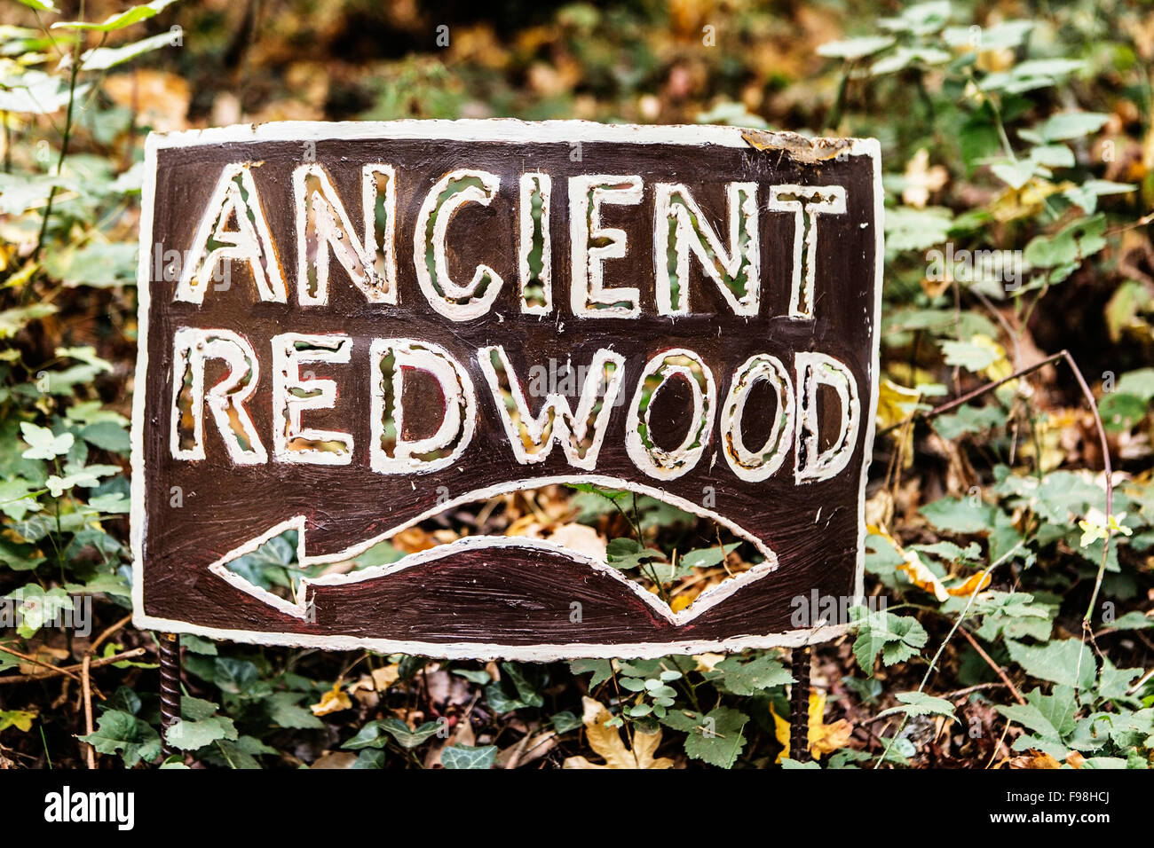 Reading a sign hi-res stock photography and images - Alamy