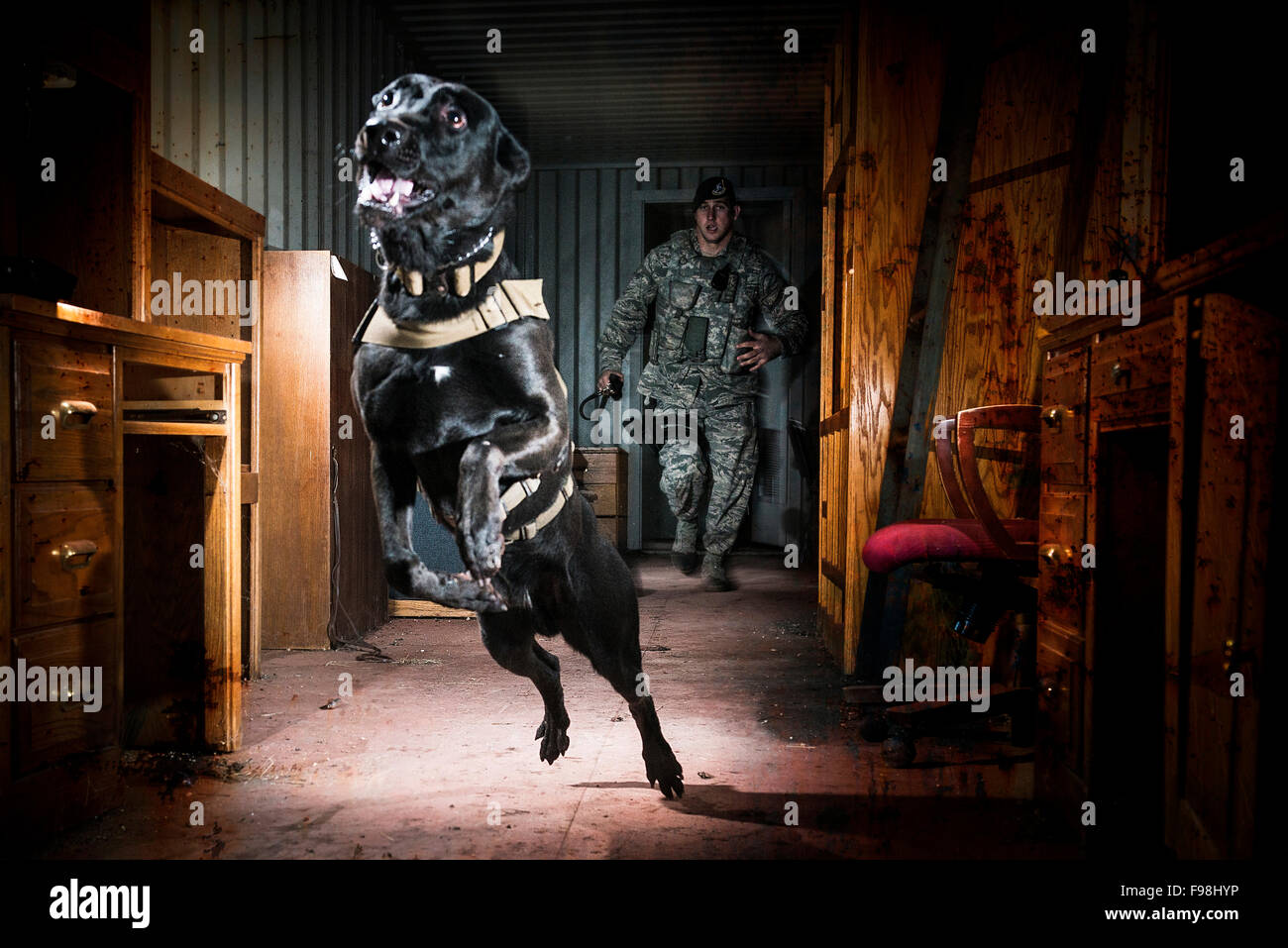 An Air Force Security Forces K-9 handler, and his military working dog ...