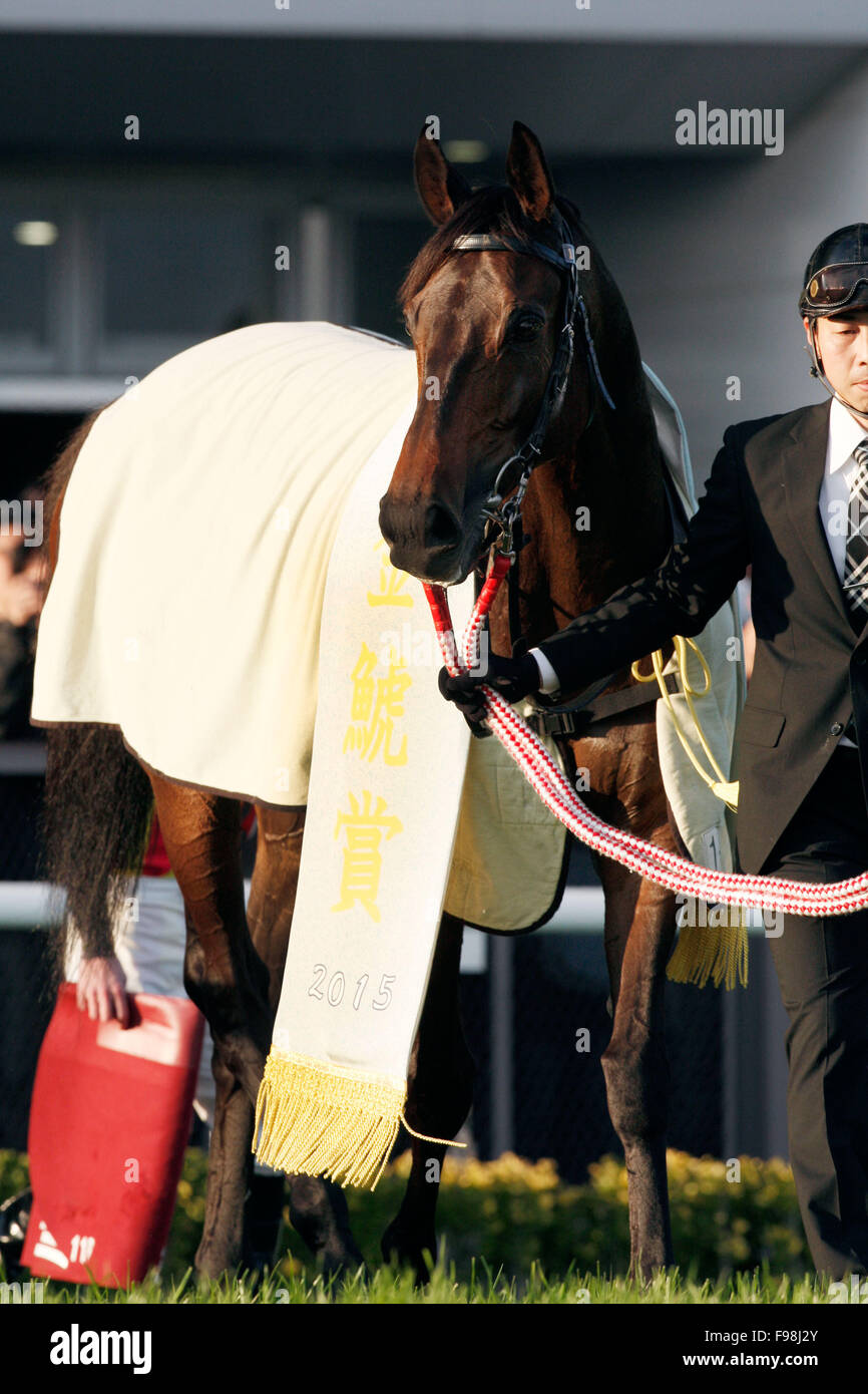 Chukyo racecourse hi-res stock photography and images - Alamy