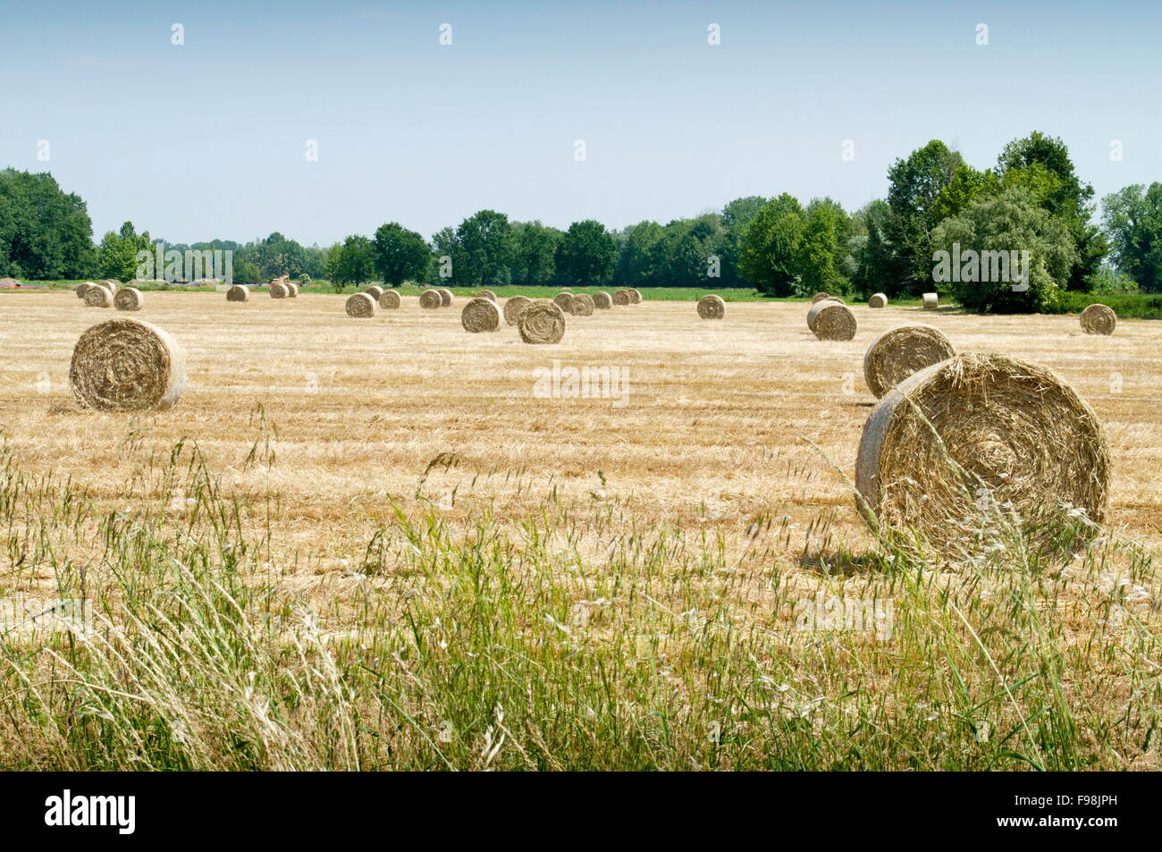 Field acre stubble straw hi-res stock photography and images - Alamy