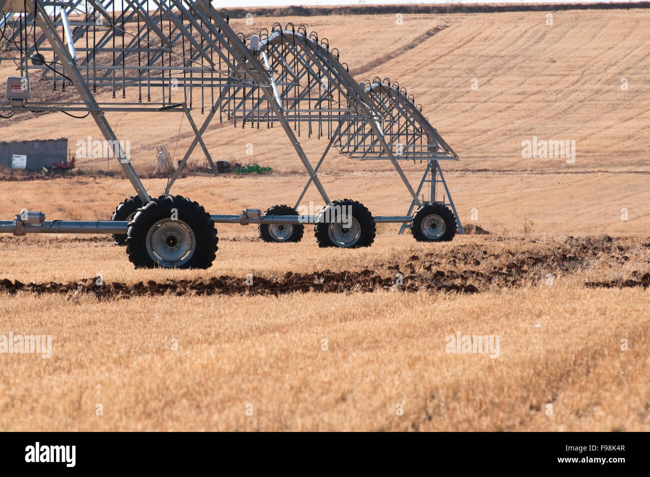 straws of hay, grain crop field Stock Photo - Alamy