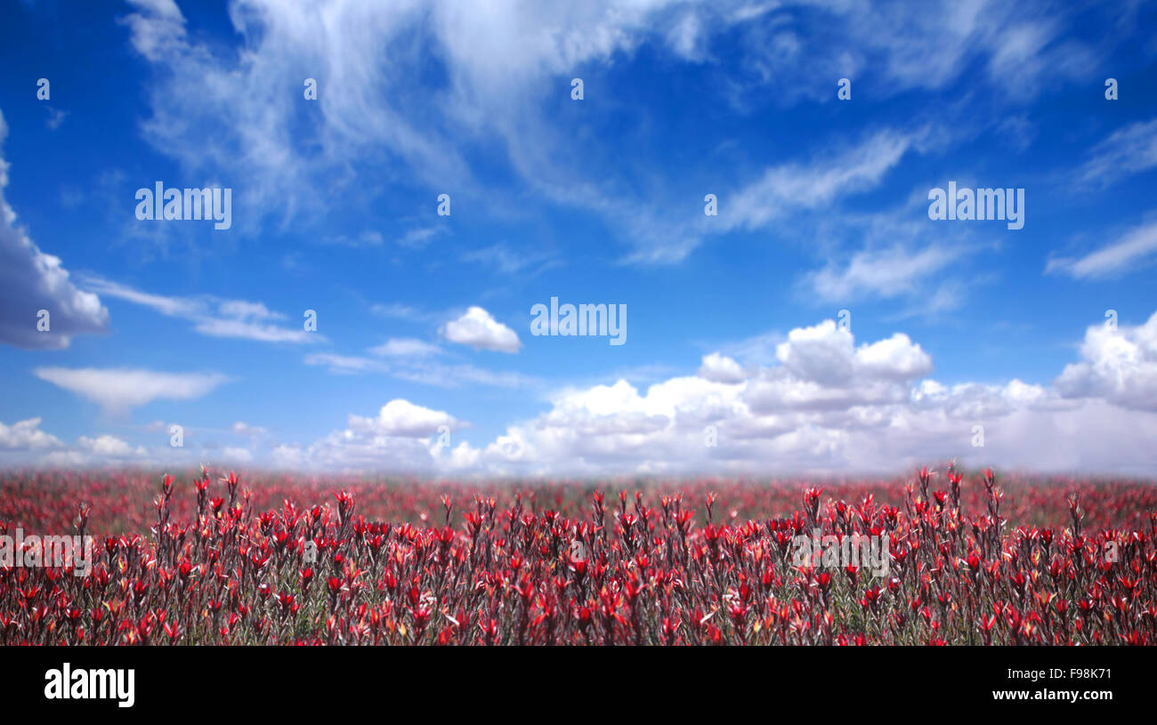 Beautiful Countryside in America Stock Photo - Alamy