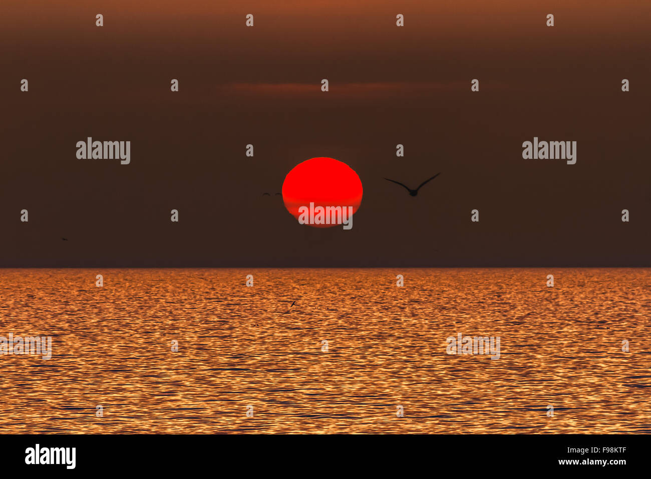 Flying over the horizon hi-res stock photography and images - Alamy