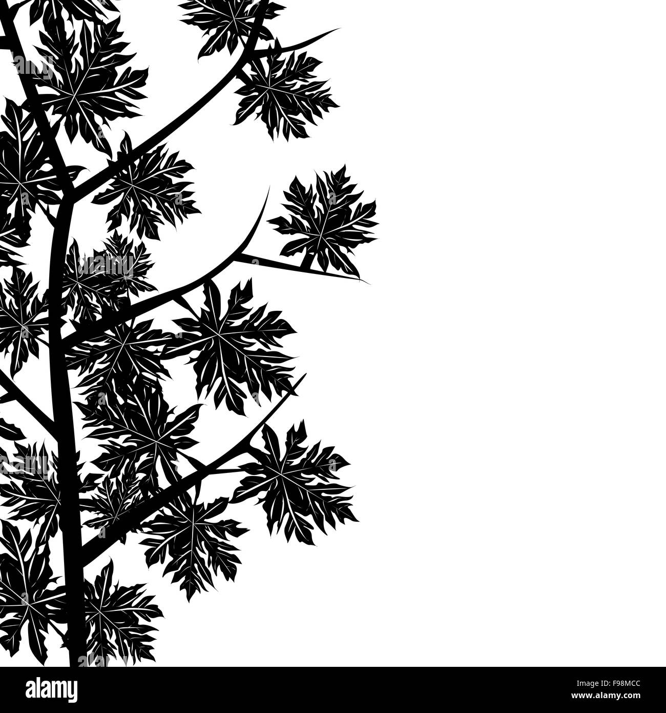 Black And White Tree Border
