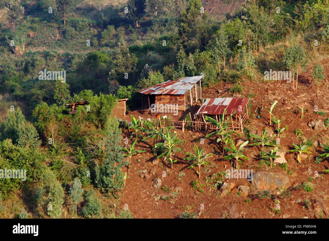 A small shanty farm on the hills of Rwanda Stock Photo - Alamy