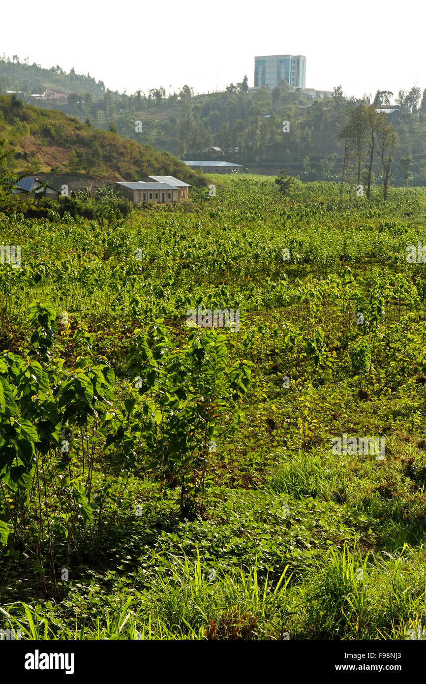 Africa community farming hi-res stock photography and images - Alamy