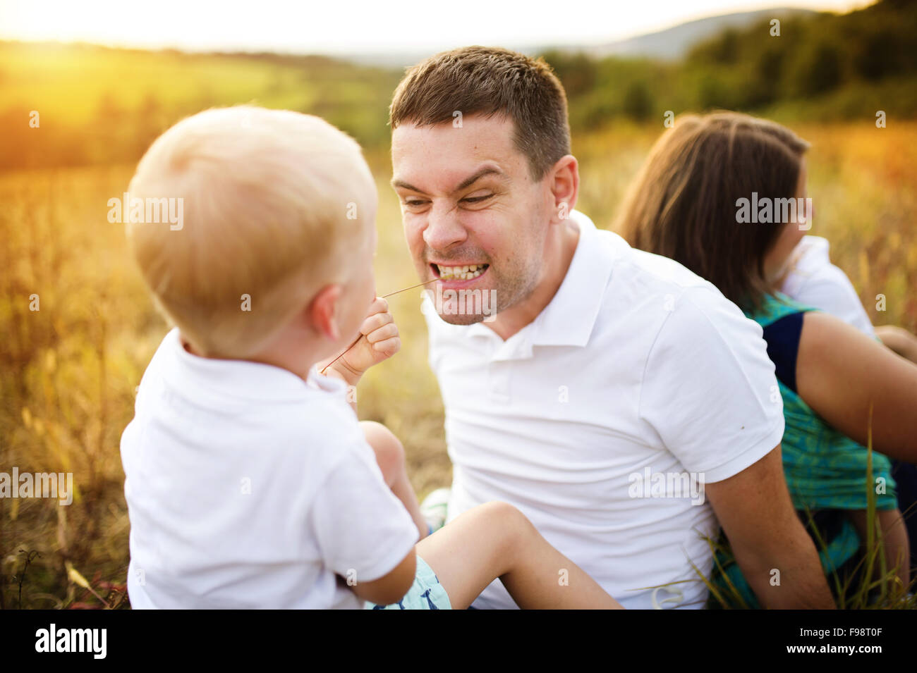 Happy family enjoying life together at meadow outdoor Stock Photo - Alamy