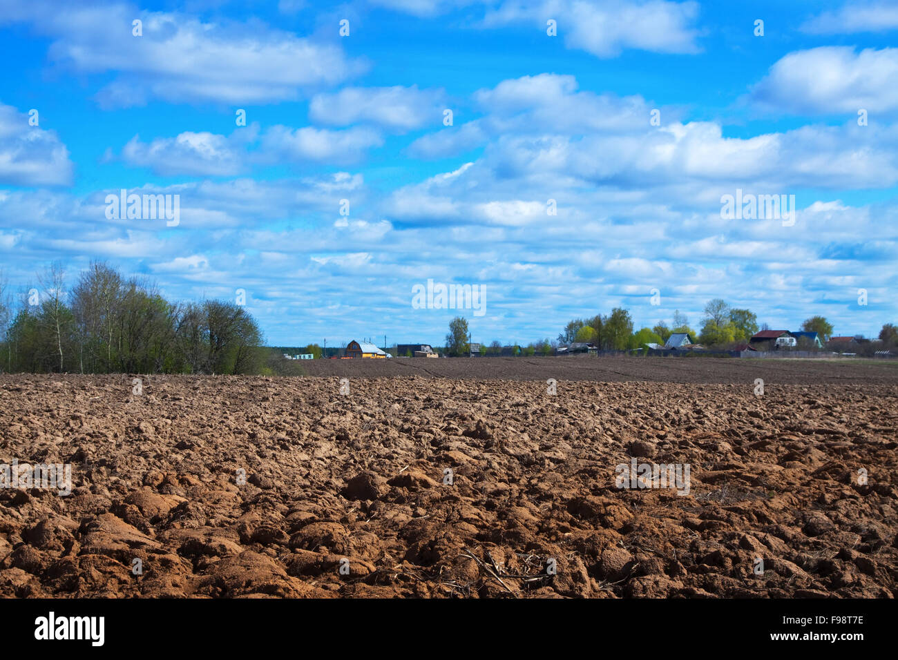 Uder tree hi-res stock photography and images - Alamy